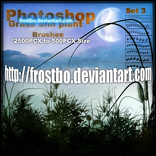 Grass And Plant Set 3 Ps By Frostbo On Deviantart