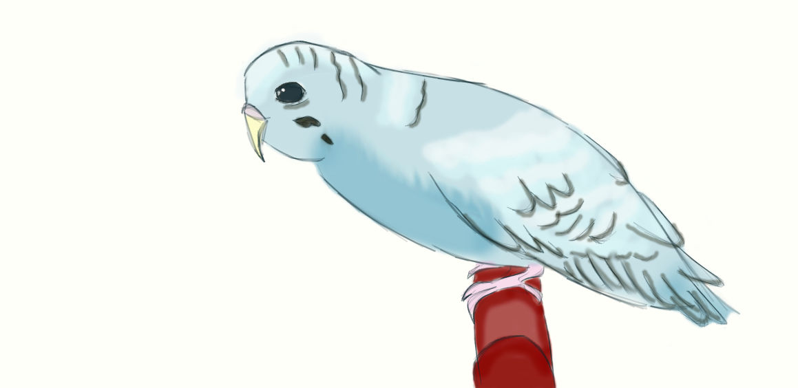 Maya the bird by RedFrostbite16 on DeviantArt