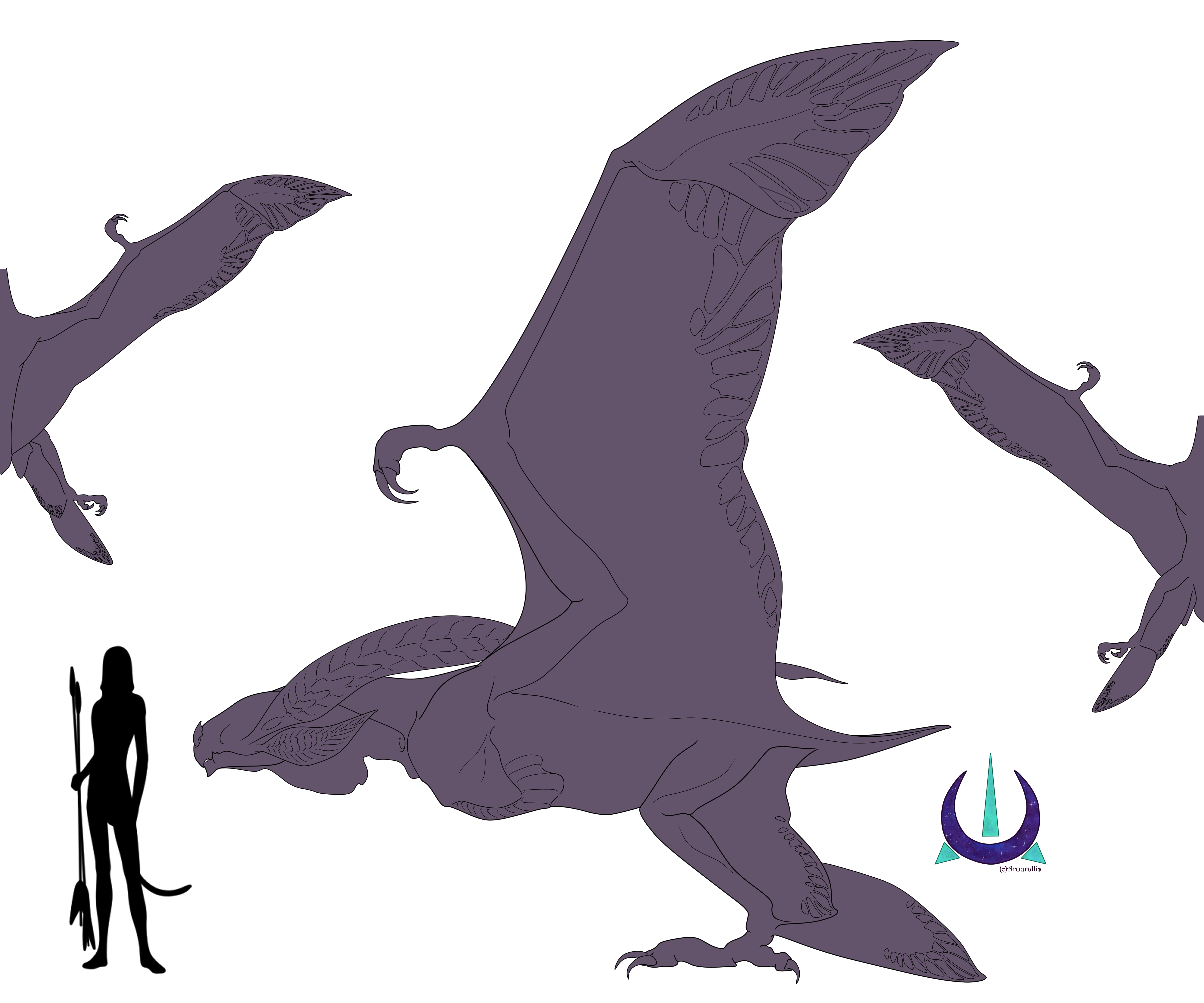 Chiroptera Coloring Sheet by arourallis on DeviantArt
