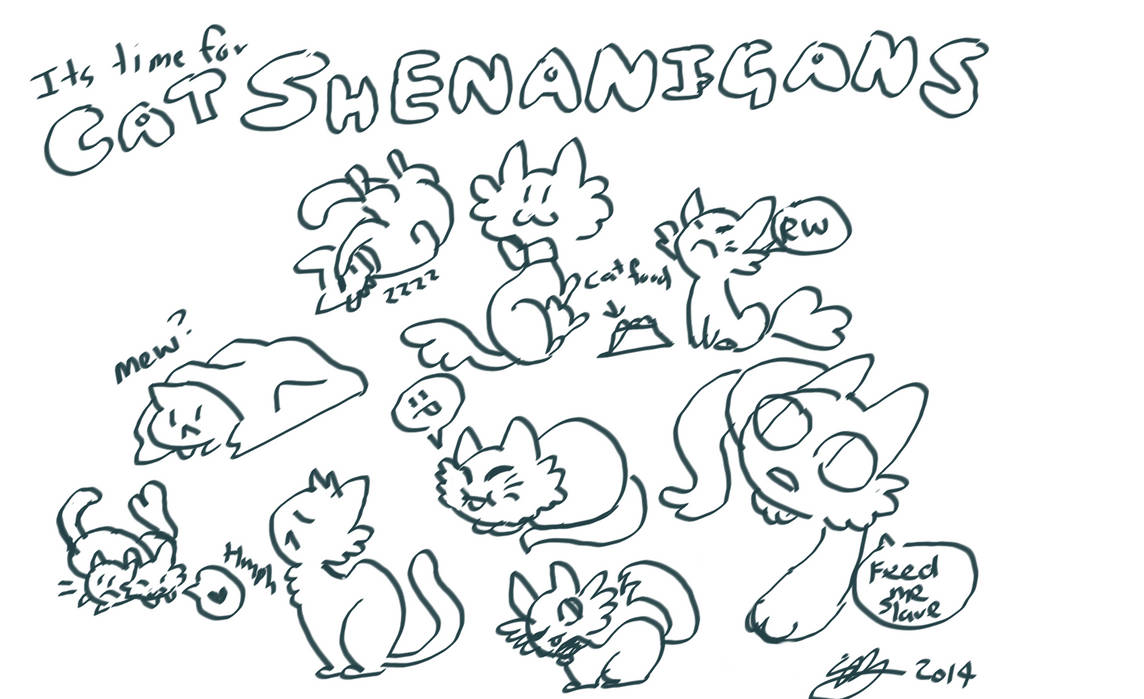 Its Time For ~*CAT SHENANIGANS*~ by Skykitty411 on DeviantArt