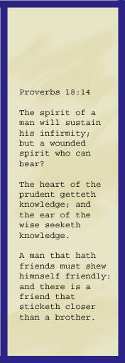 Proverbs 18:14 by BotchedChromosome on DeviantArt