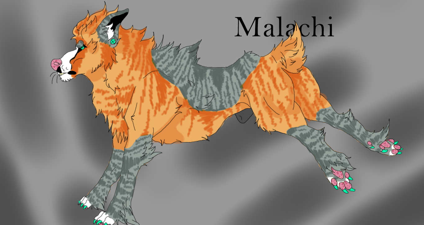 Malachi Ref by ImperadorDas on DeviantArt