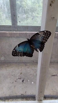 WildStrings User Profile | DeviantArt