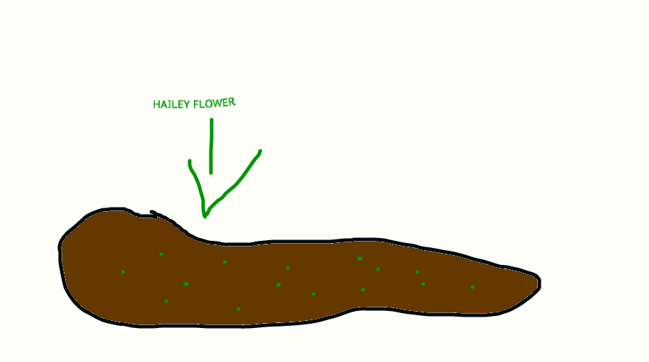 Hailey Flower Fanart by HappyfeetAJ on DeviantArt