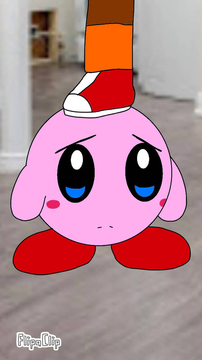 Kirby's Sad Diary by CartoonAndAnime3 on DeviantArt