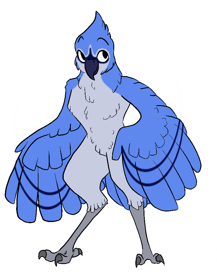 Blue Jay by millerrachel on DeviantArt