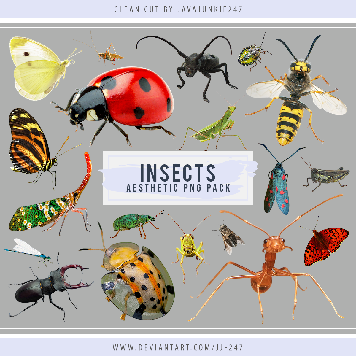 Insects Aesthetic PNG Pack by JJ-247 on DeviantArt