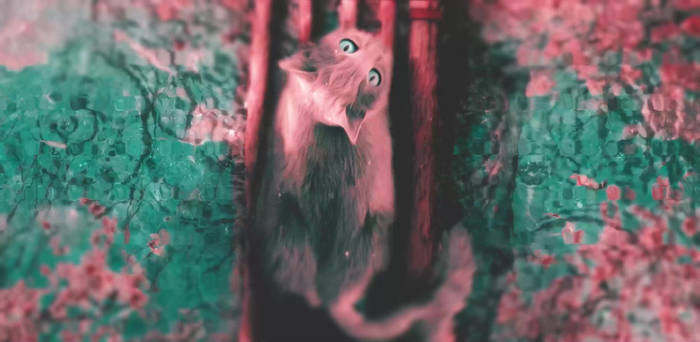 LIv9d - Professional, Digital Artist | DeviantArt
