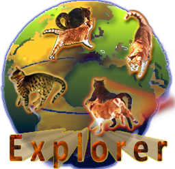 Windows Explorer by jmackenroth on DeviantArt
