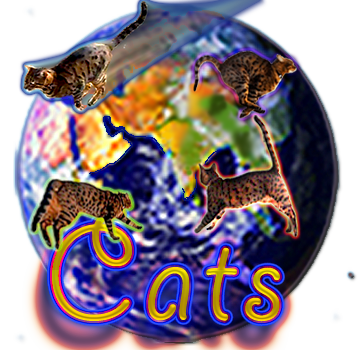 Earth cat by jmackenroth on DeviantArt