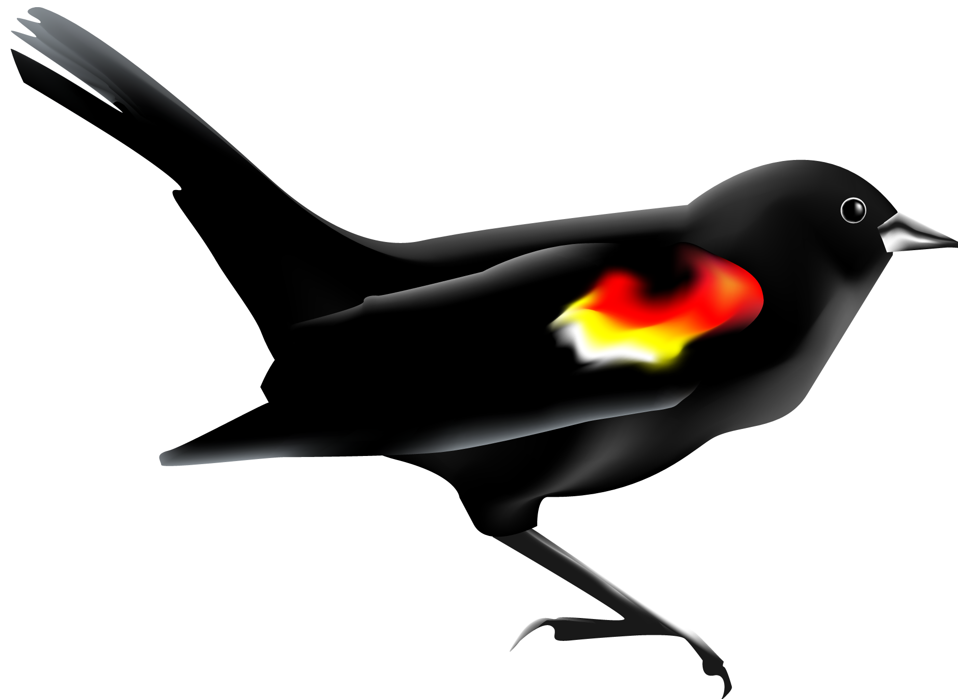 Interactive Poem: The Leather Wing Bat by racehell on DeviantArt