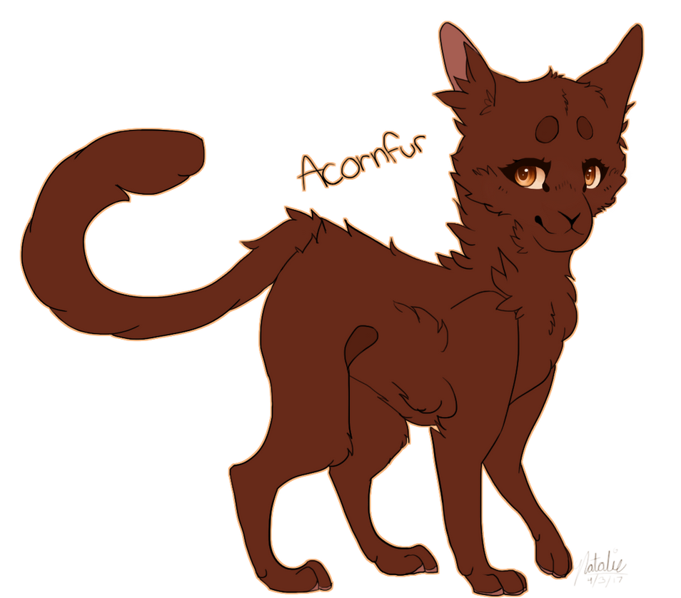 Every warrior cat challenge II Acornfur by Bubbli-Tea on DeviantArt