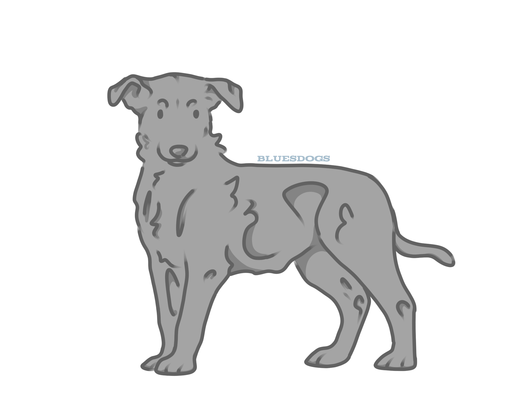 F2U Smooth Collie Lineart by BluesDogs on DeviantArt