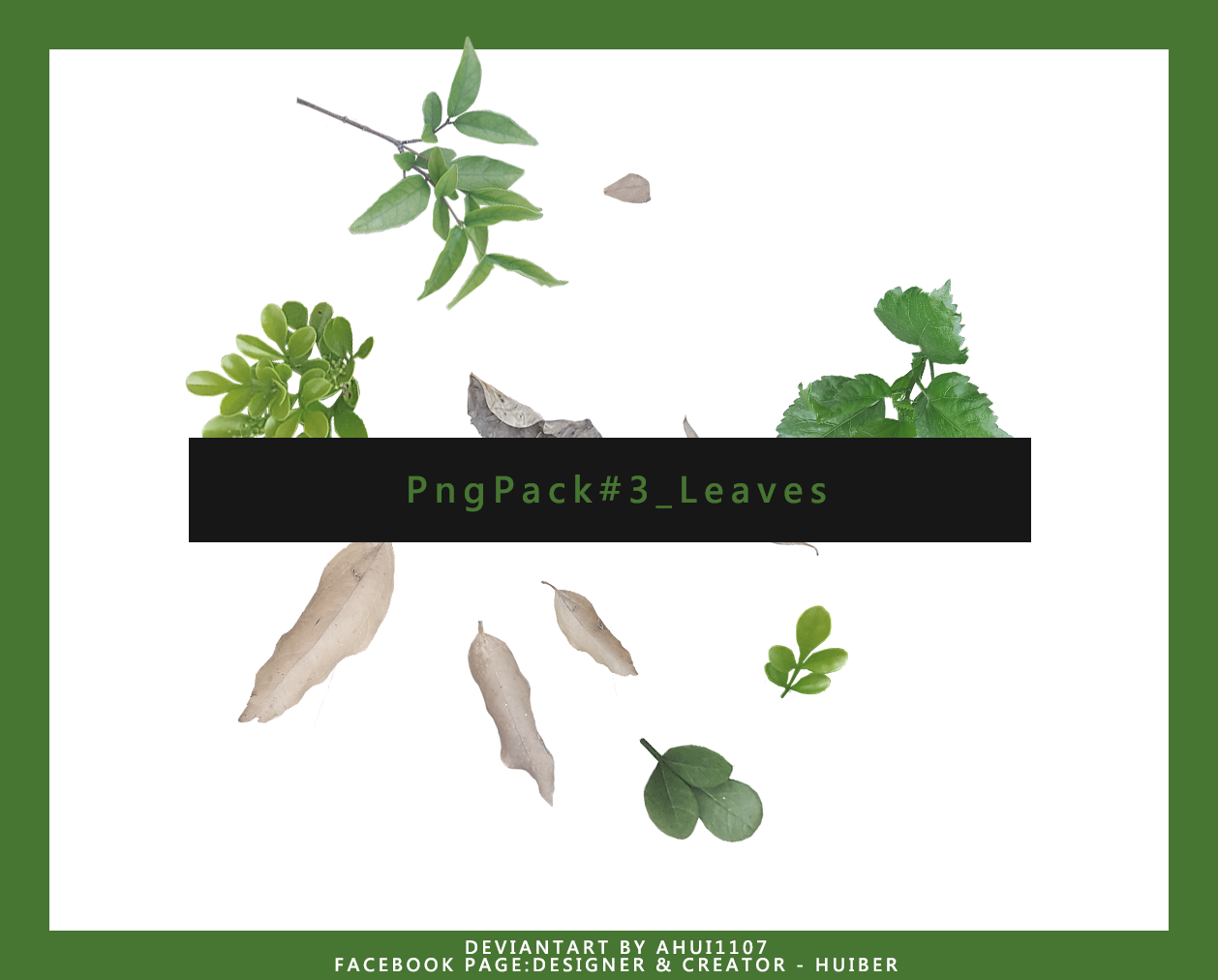 PNG PACK #3_Leaves by ahui1107 on DeviantArt