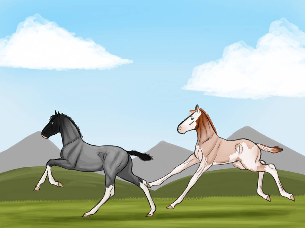 YWA Breeding show | Quest 1 part 2 by Mini-Zacama on DeviantArt