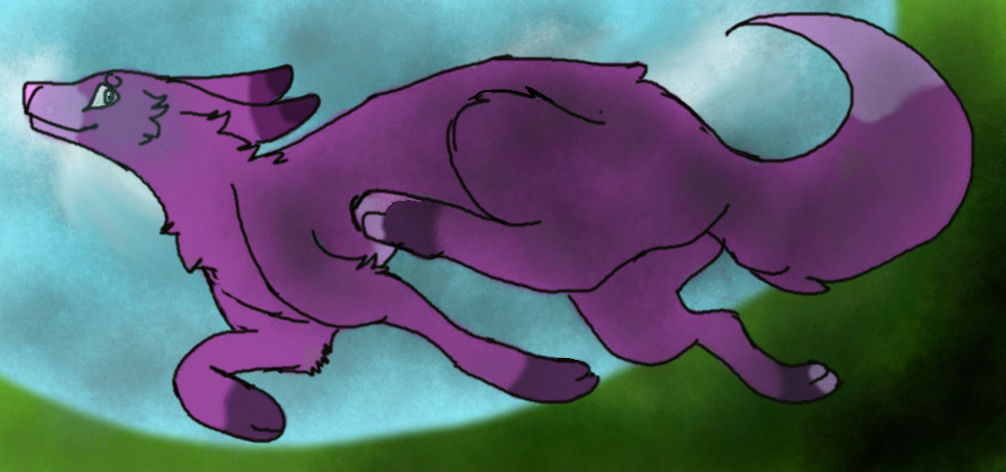 Chase by Tyt0o on DeviantArt