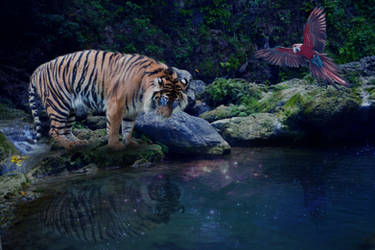 PAINTED-PARADISE - Hobbyist, Digital Artist | DeviantArt