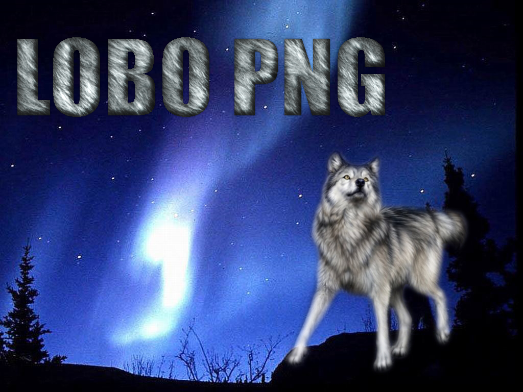 Lobo Png by sofiaacosta25 on DeviantArt