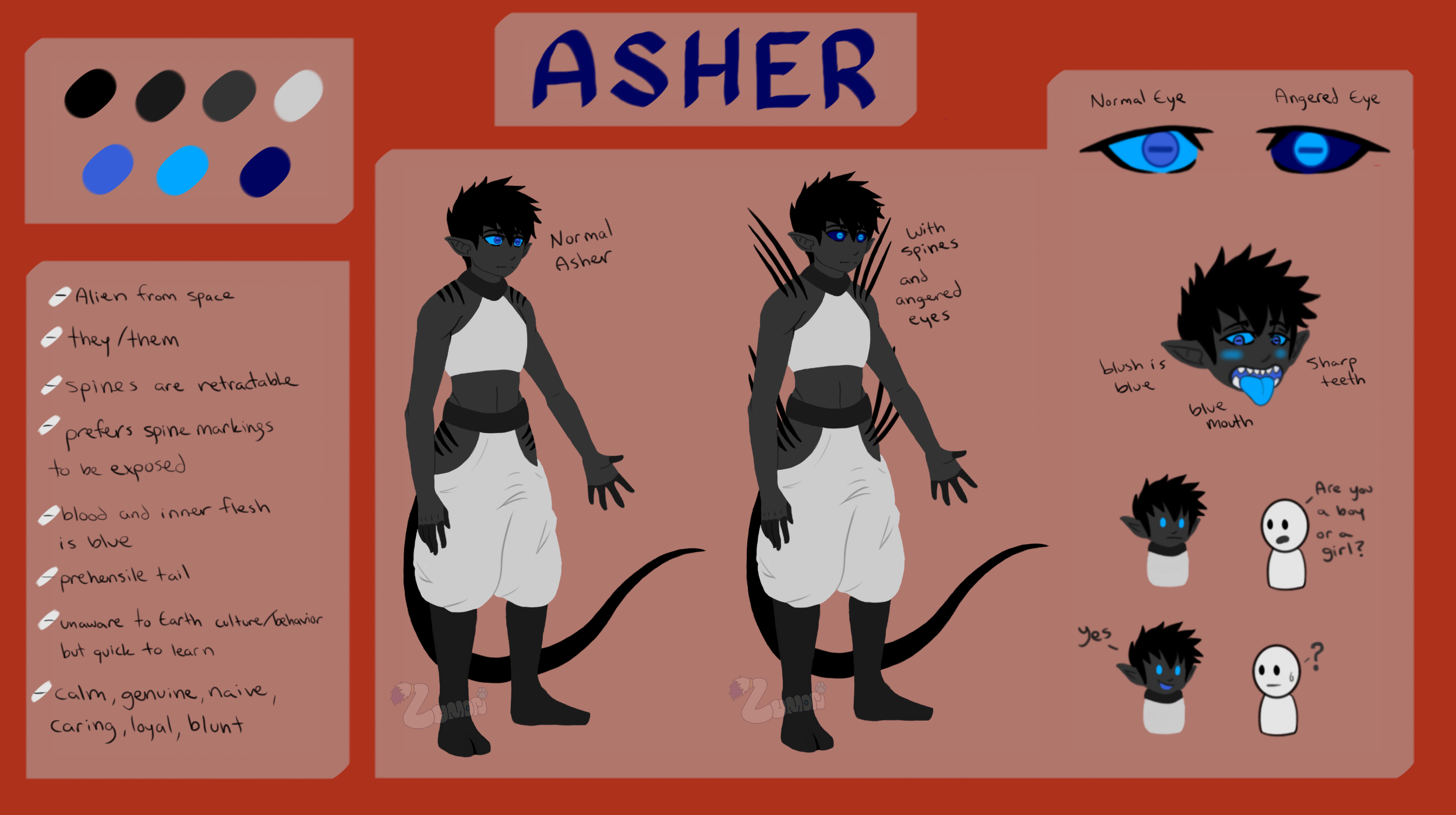 Asher Ref by Behrable on DeviantArt
