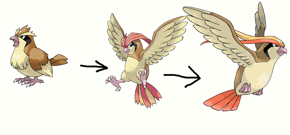 Pidgey Evolution by superfoxdeer on DeviantArt