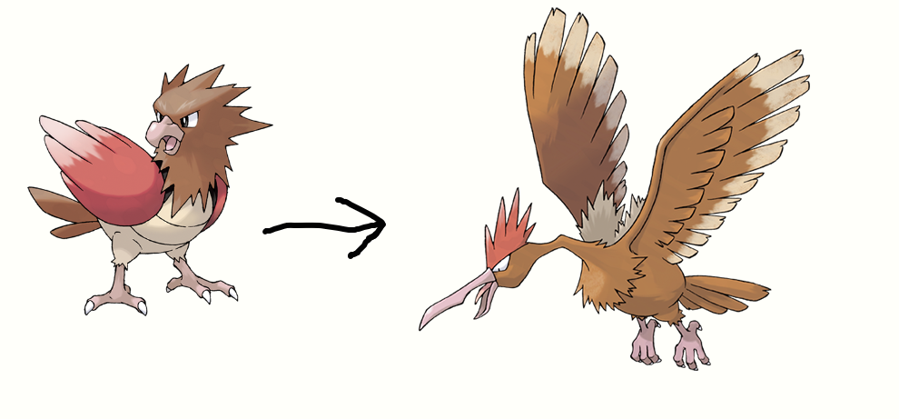 Spearow Evolution by superfoxdeer on DeviantArt