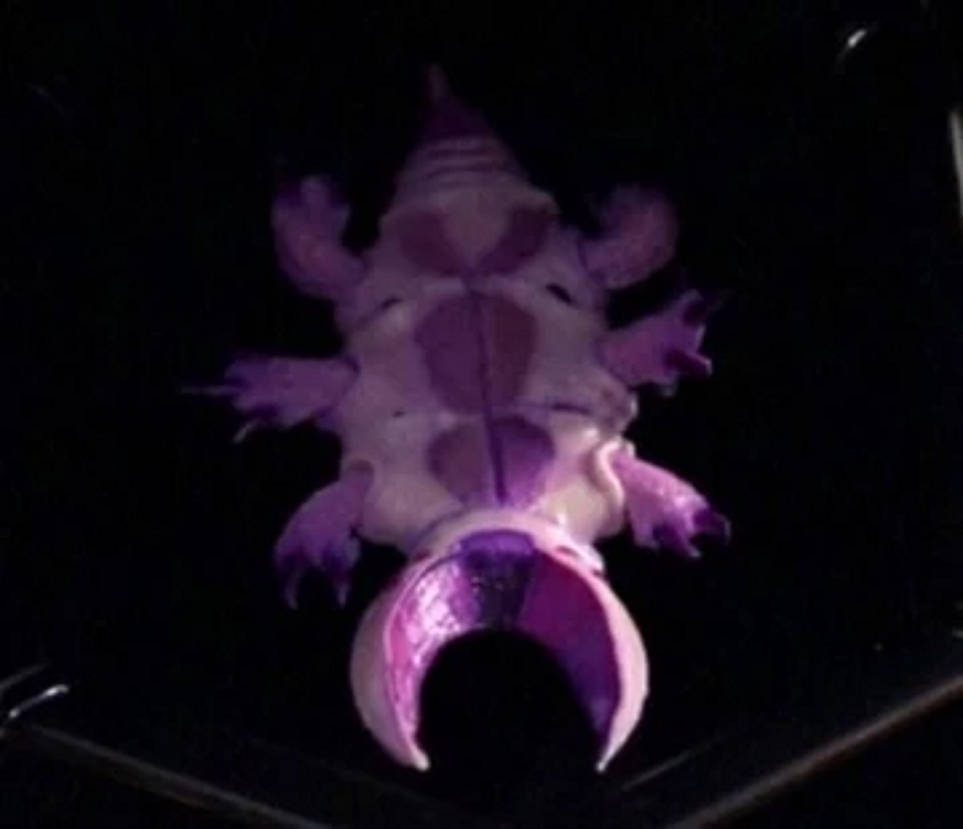 The Bluegill Neural Parasites by ChaosEmperor971 on DeviantArt