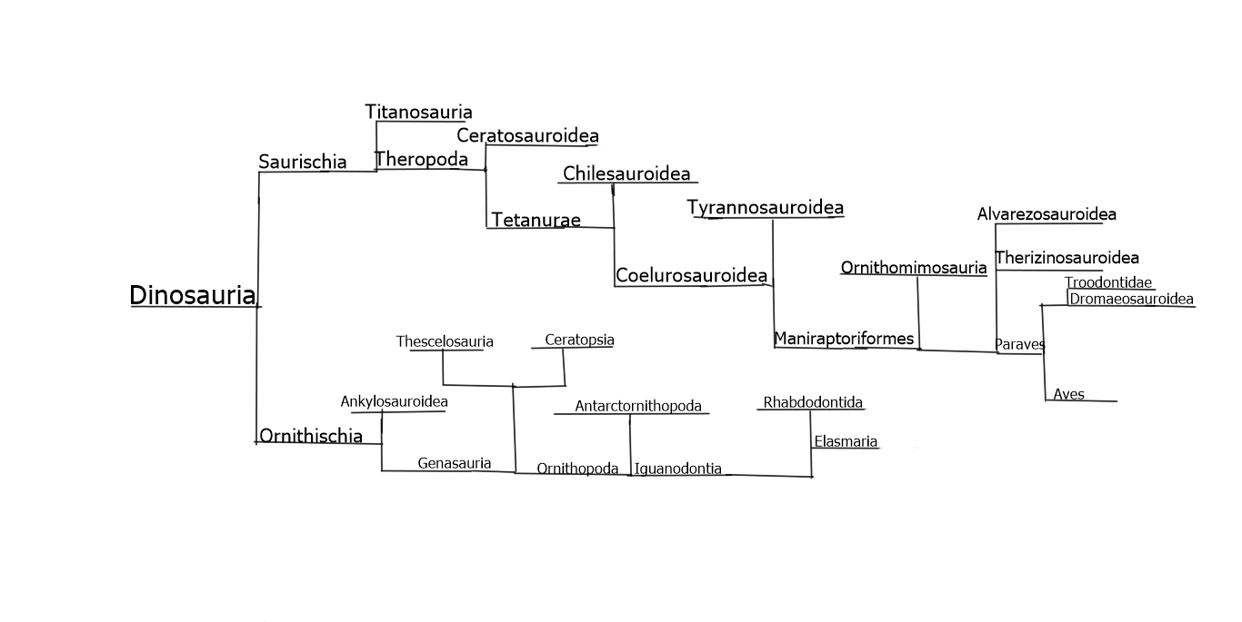 Dinosaur Family Tree V.2.0 by Dinosaurlover83 on DeviantArt