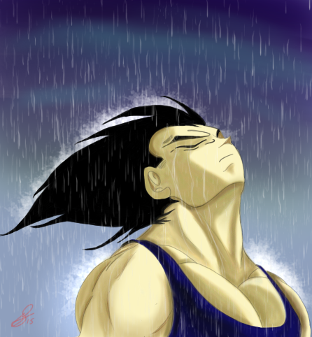 Vegeta in the rain by hoffy69 on DeviantArt