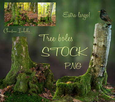 Explore the Best Bole Art | DeviantArt