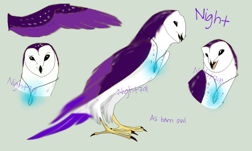 Night as Owl by Night79 on DeviantArt