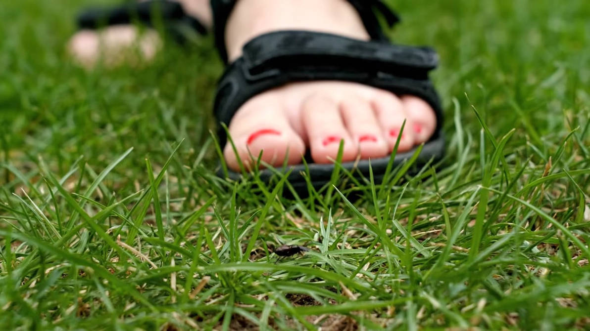 Veo 3 - Sandals vs Little insect 2 by steppingonthingsai on DeviantArt