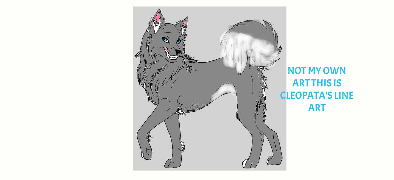 Jewel the wolf by cuddlymonkey3820 on DeviantArt