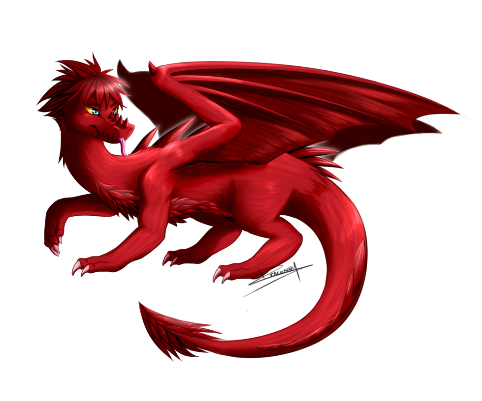 Nogard: A Dragon's Fury by QuietProFesional on DeviantArt