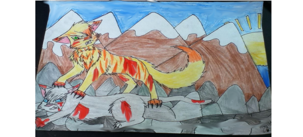 Lionblaze fights in the mountains by Ivypool-Purrfect on DeviantArt