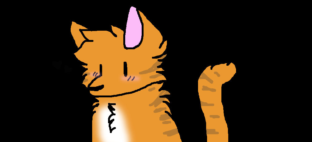dead cat fetus by qh0sts on DeviantArt