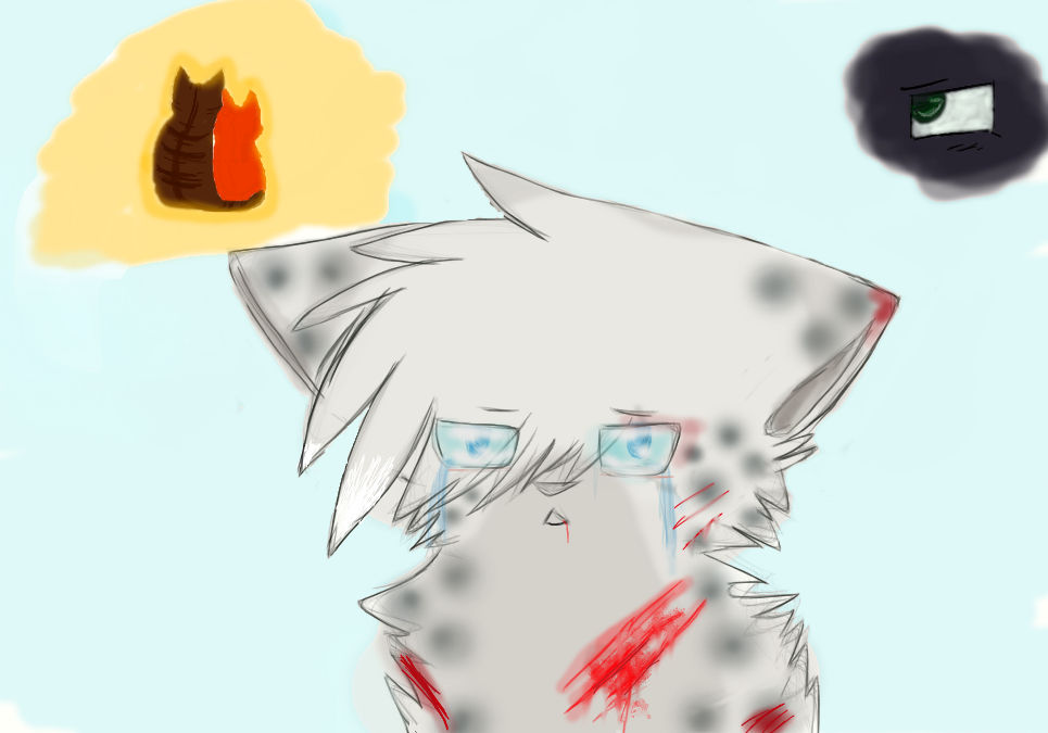 Ashfur's hurt by DjKiya on DeviantArt
