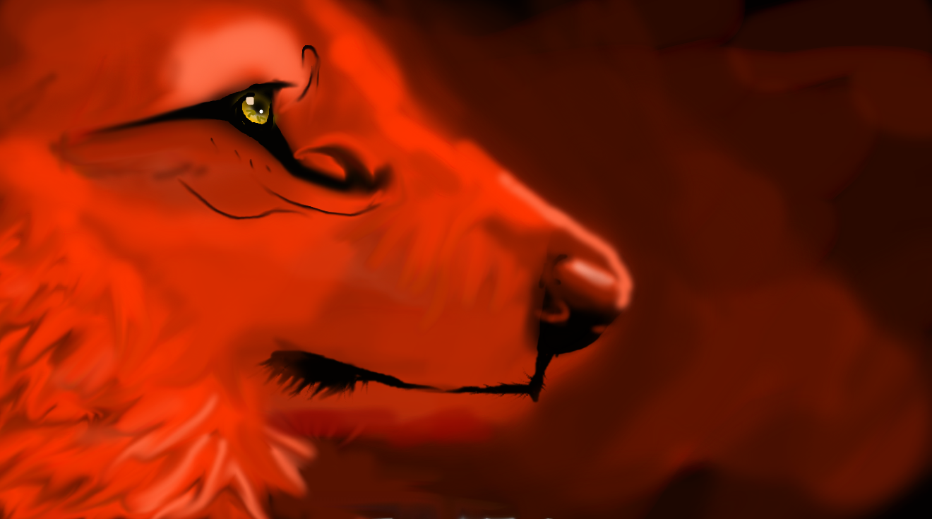 Red Hawt Fire. by ta26315 on DeviantArt