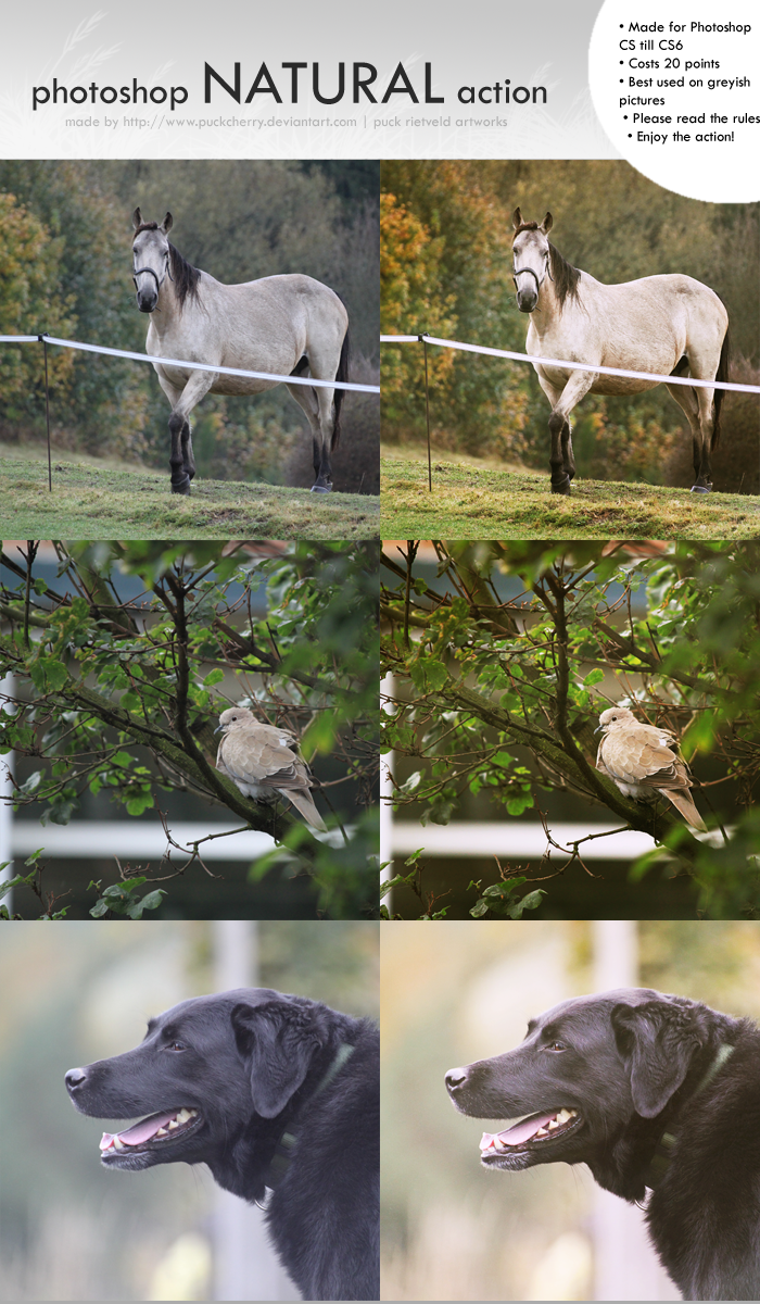 Natural action by puckrietveld on DeviantArt