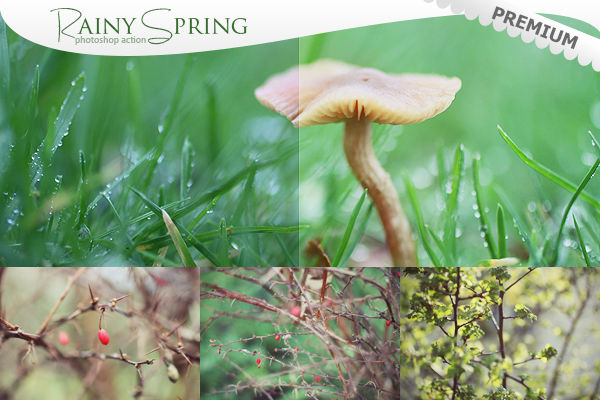 Rainy Spring - Photoshop Action by puckrietveld on DeviantArt
