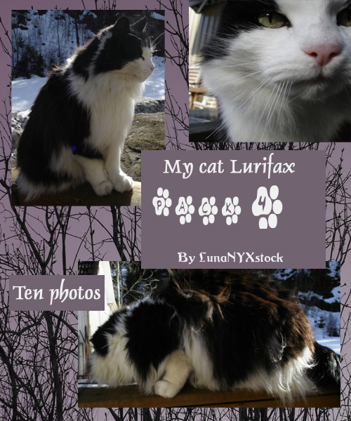 My cat Lurifax, pack 04 by LunaNYXstock on DeviantArt