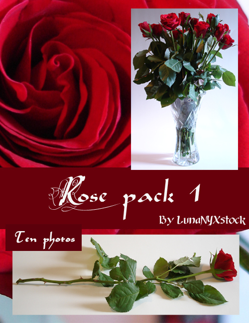 Rose pack - 1 by LunaNYXstock on DeviantArt