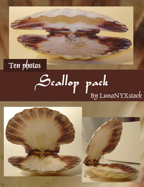 Scallop pack by LunaNYXstock on DeviantArt