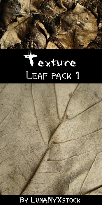 Leaf texture - pack 01 by LunaNYXstock on DeviantArt