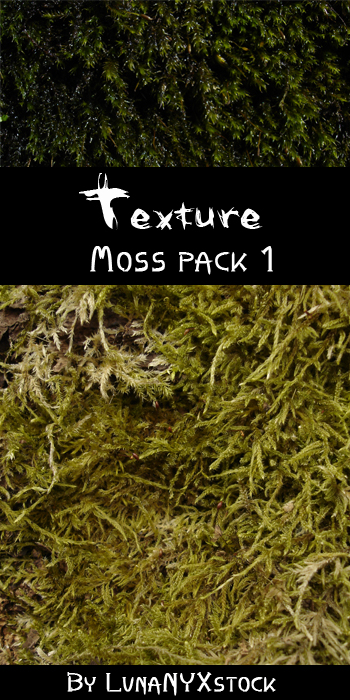 Moss texture - pack 01 by LunaNYXstock on DeviantArt