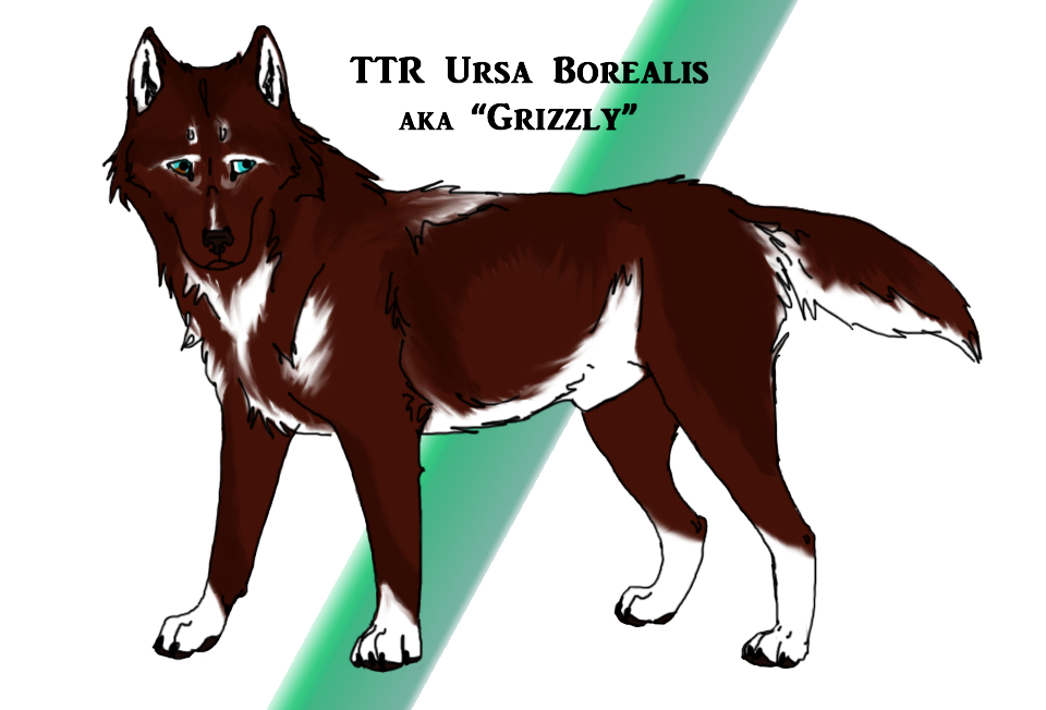 TTR Ursa Borealis 'Grizzly' by ariieve on DeviantArt
