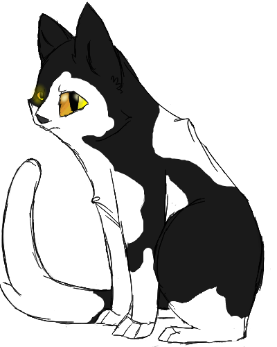 Shadowheart by Dreamer-Of-Creation on DeviantArt