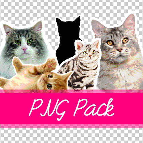 Cat - PNG Pack by jjangdongw0o on DeviantArt