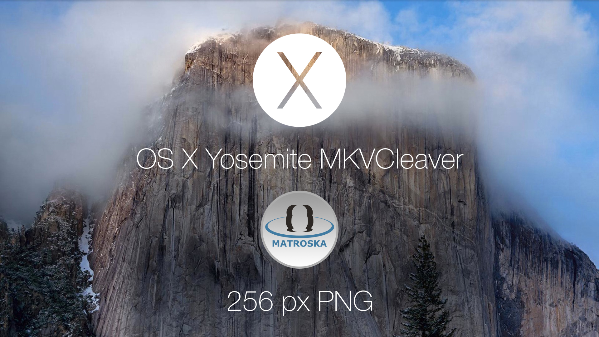 MKVCleaver x64 by morfiyc on DeviantArt