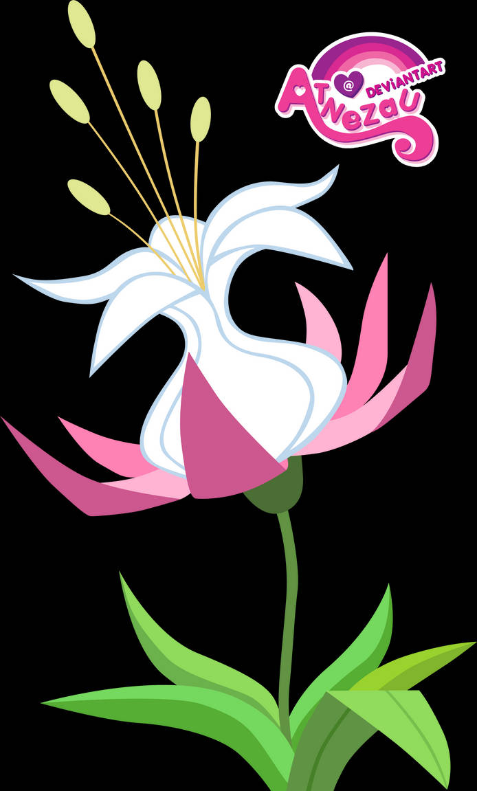 Flower of Truth by atnezau on DeviantArt