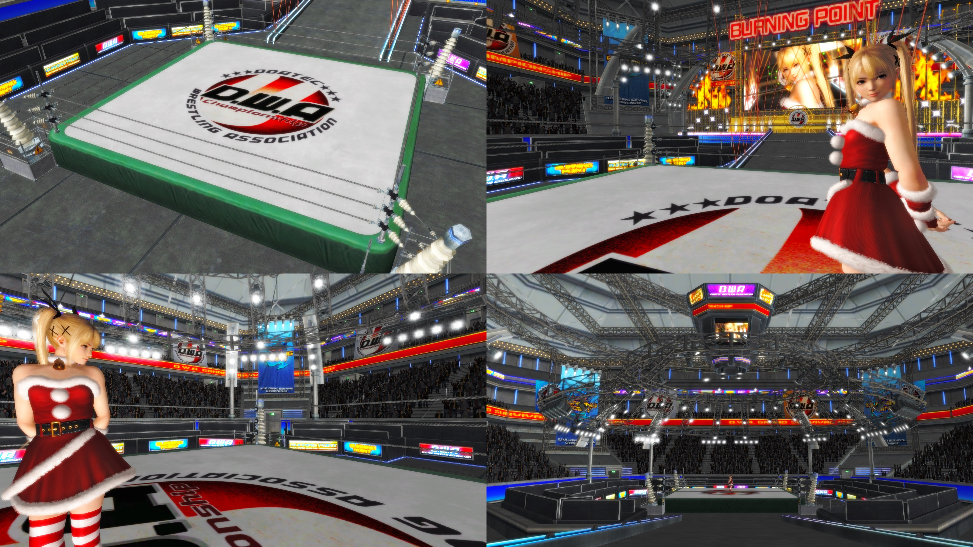 DOA5 Stage Fighting Entertainment by rolance on DeviantArt